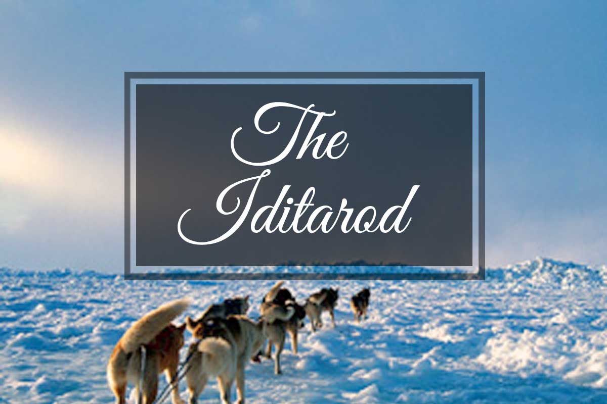 The Iditarod: A Unit Study | DIY Homeschooler