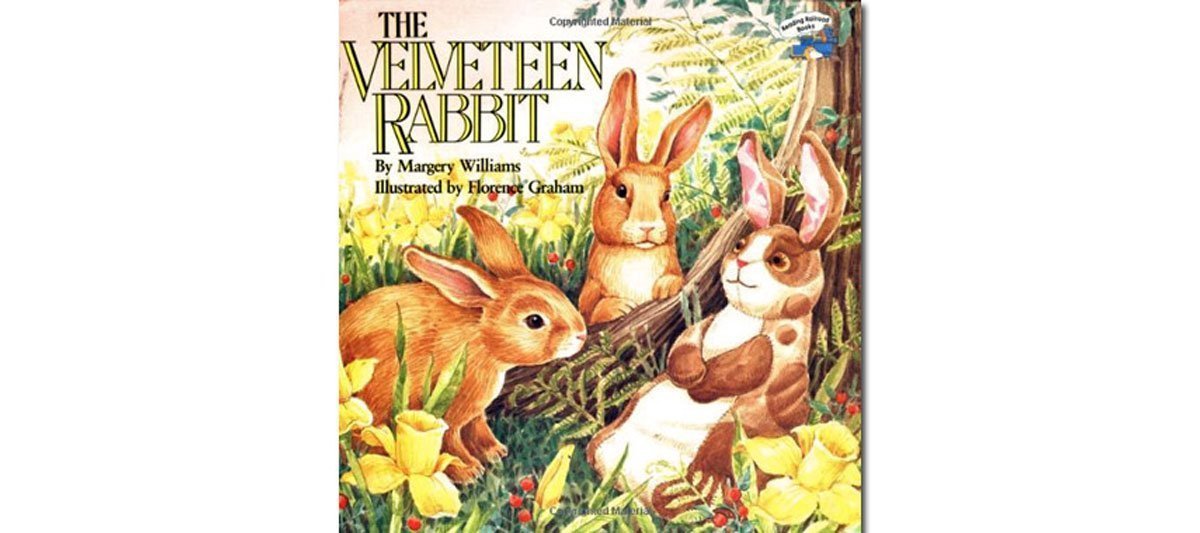 The Velveteen Rabbit {Free eBook & Activities} | DIY Homeschooler