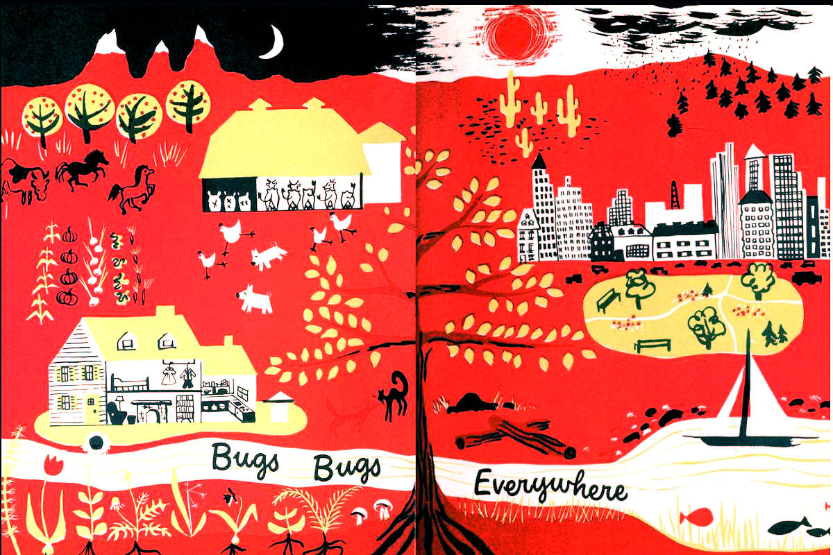 First Book of Bugs {Free eBook} | DIY Homeschooler